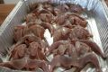 Smoked Quail Recipe - Learn to Smoke Meat with Jeff Phillips