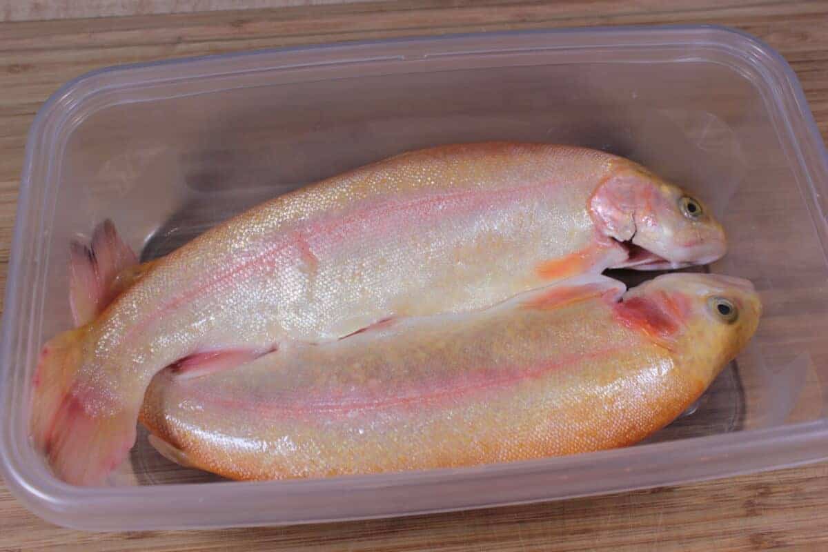 Smoked Trout with Lemon and Herbs - Learn to Smoke Meat with Jeff Phillips