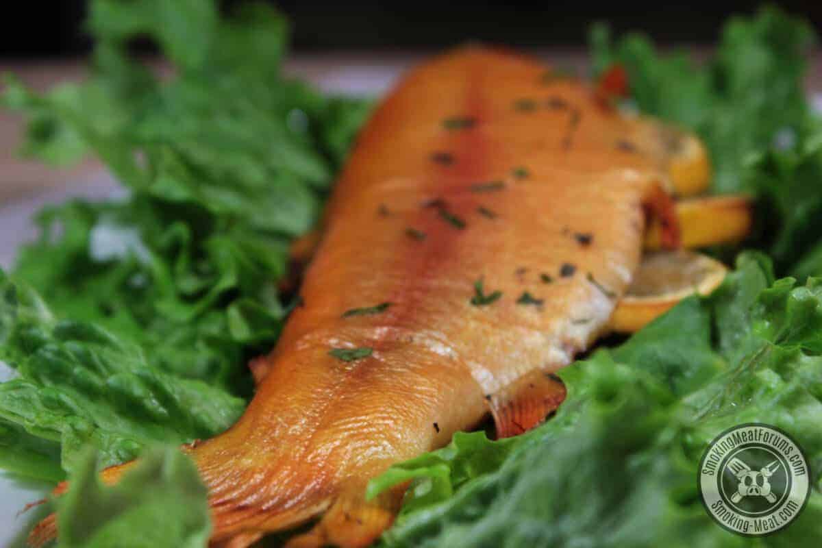 | Smoked Fish Recipes at Smoking-Meat.com